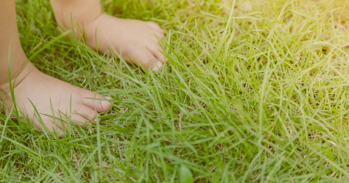 Znaš li da jako puno beba ne voli nogicama dodirivati travu? Evo i ...