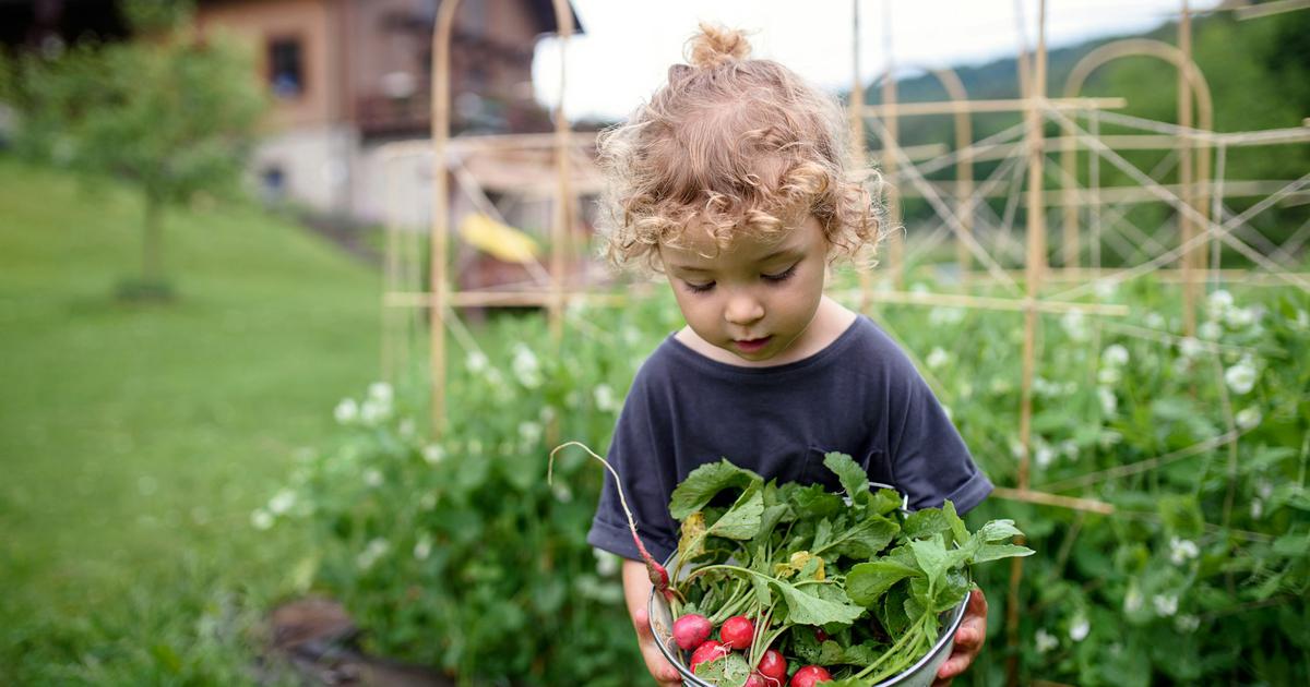 9 stvari koje moraš znati o veganskoj prehrani djece | missMAMA